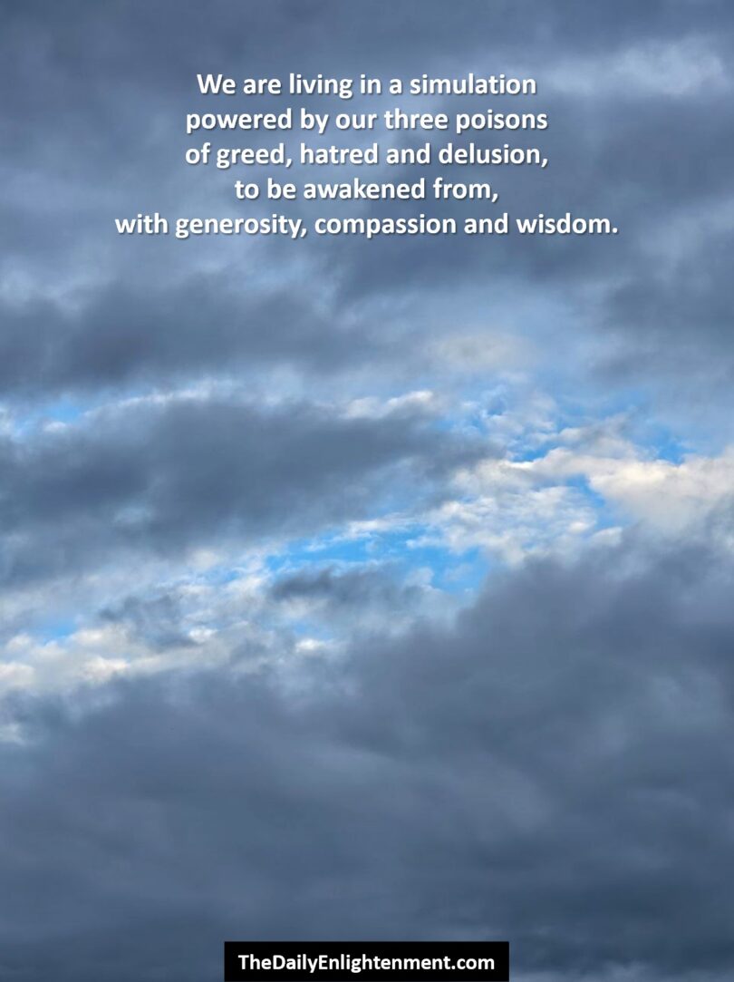Already In Simulation – The Daily Enlightenment
